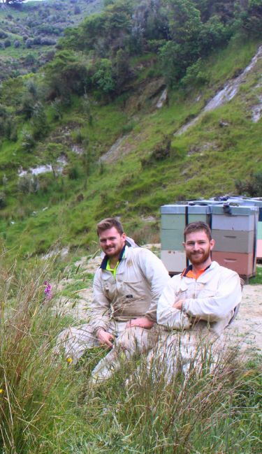 The Mason Brothers' Honey story